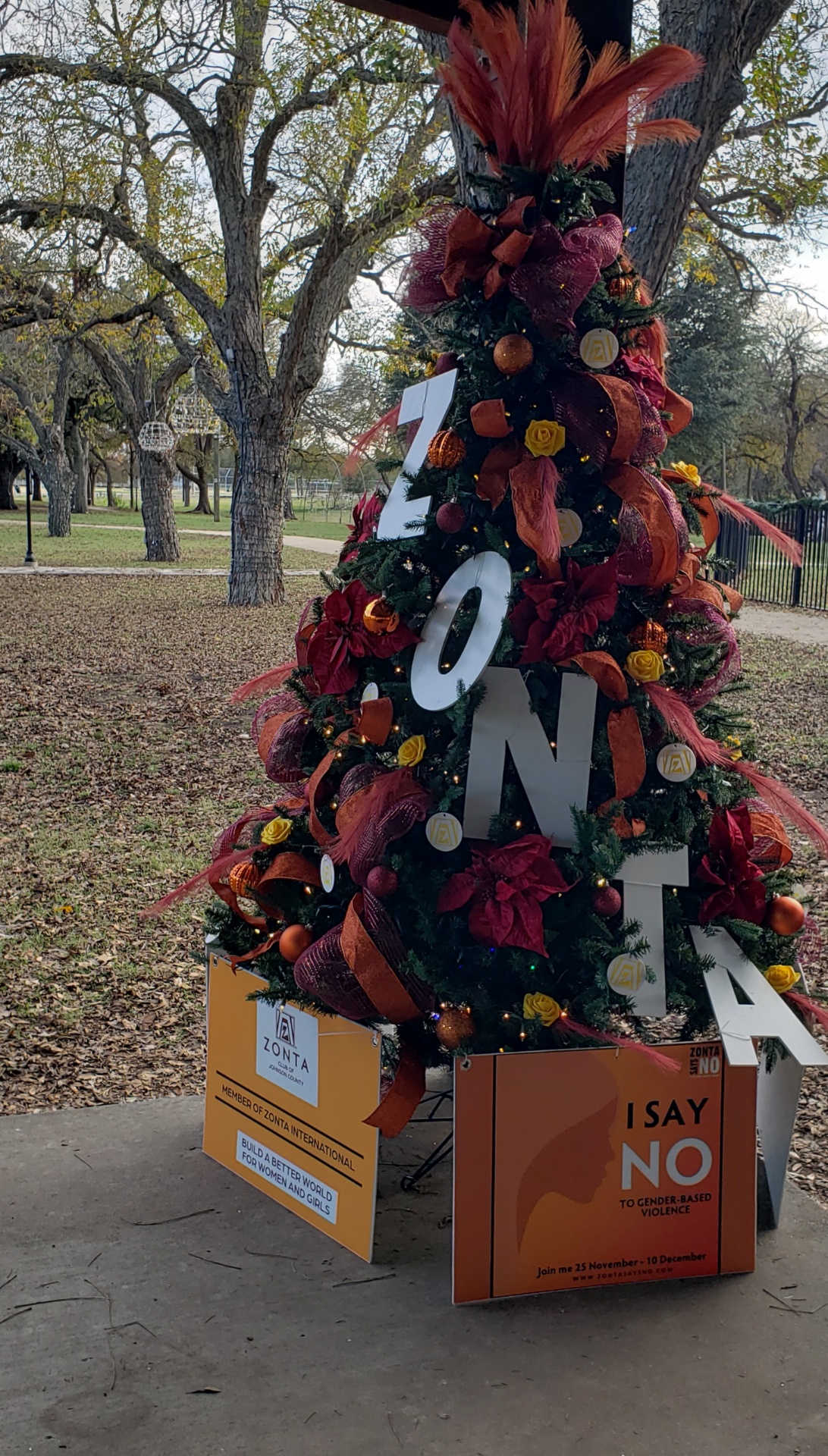 Zonta Club of Johnson County amplifies Zonta’s mission – Join us in ...